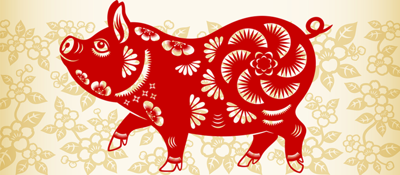 Communicative, popular, punctual Earth Pigs